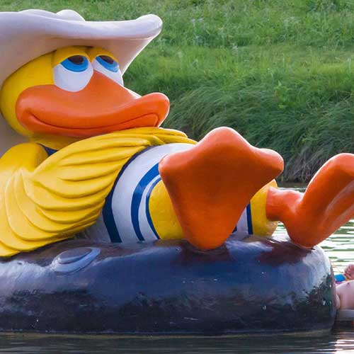 Who's that Lucky Duck? - Panther Island Pavilion