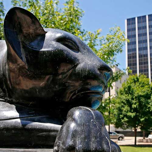 DMN: Why is Fort Worth called Panther City? Curious Texas investigates ...